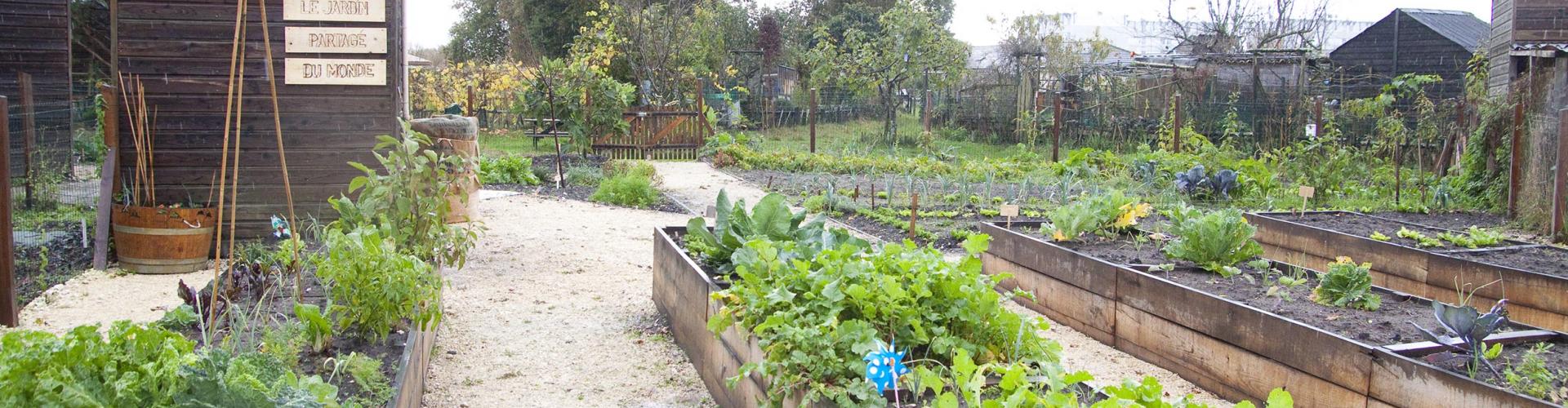 Jardins partagés | Mérignac